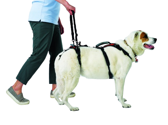 Fitting The Accessories – Help 'Em Up