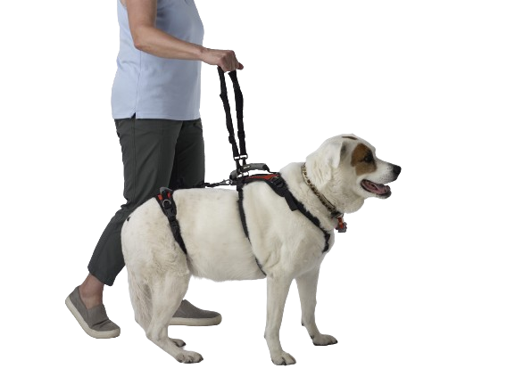 Fitting The Accessories – Help 'Em Up