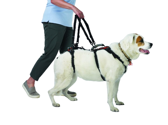 Fitting The Accessories – Help 'Em Up