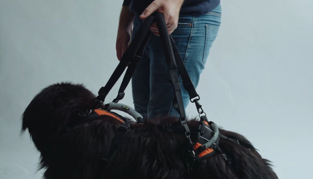 Fitting The Accessories – Help 'Em Up